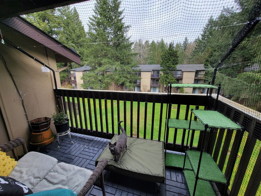 Cat Proof Balcony Ideas Every Cat Owner Needs (Budget-Friendly ...